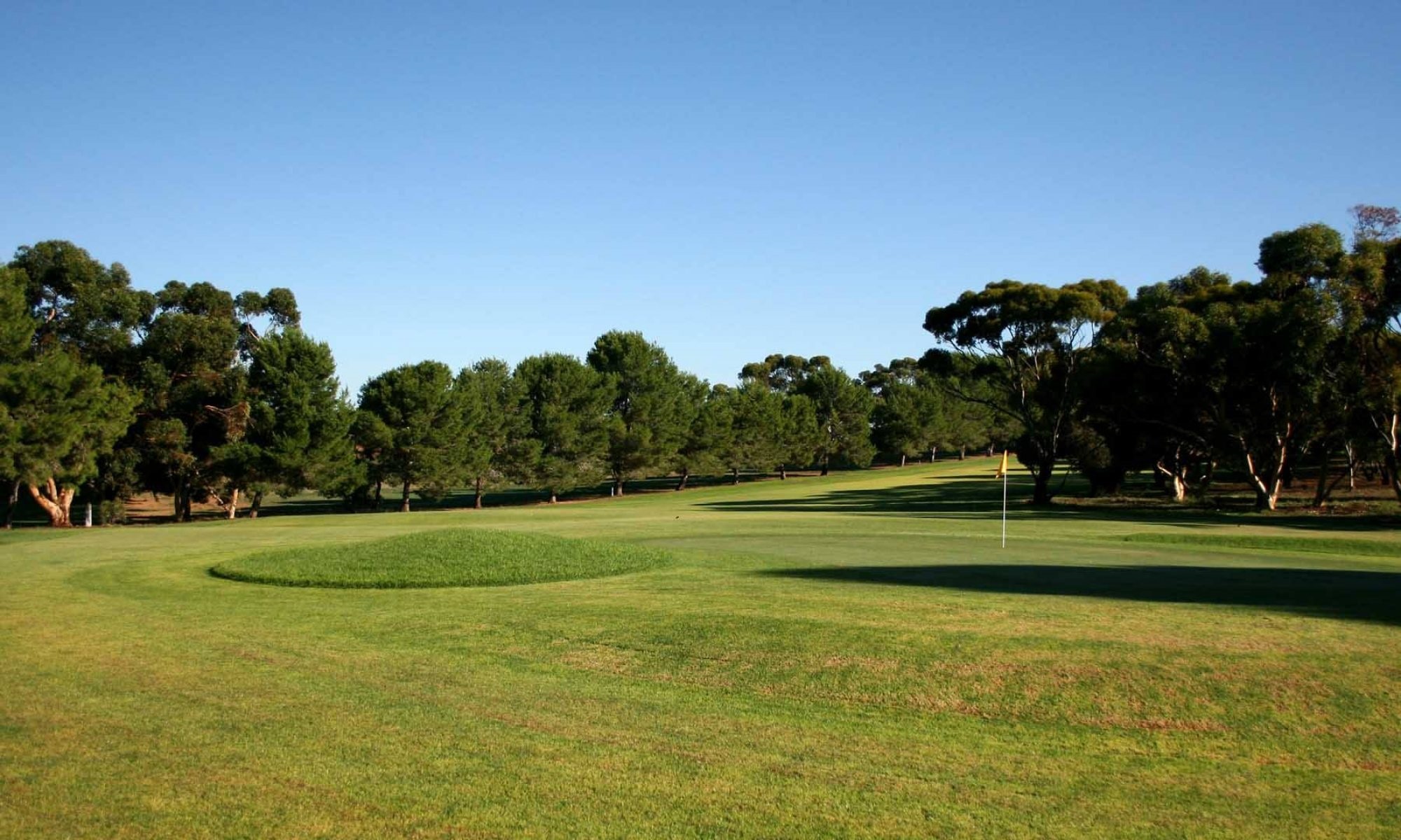 Gallery – Mannum Golf Club